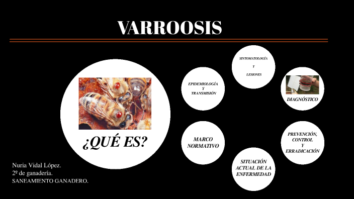Varroosis by Nuria Vidal on Prezi