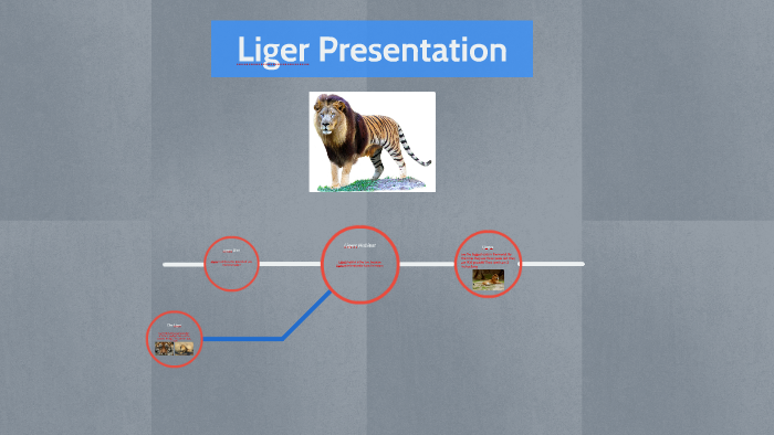 Liger Presentation by Kyle Coogan on Prezi