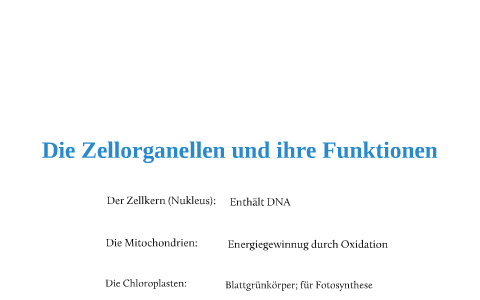 Die Zellorganellen und ihre Funktionen by Alexander Hornstein on Prezi