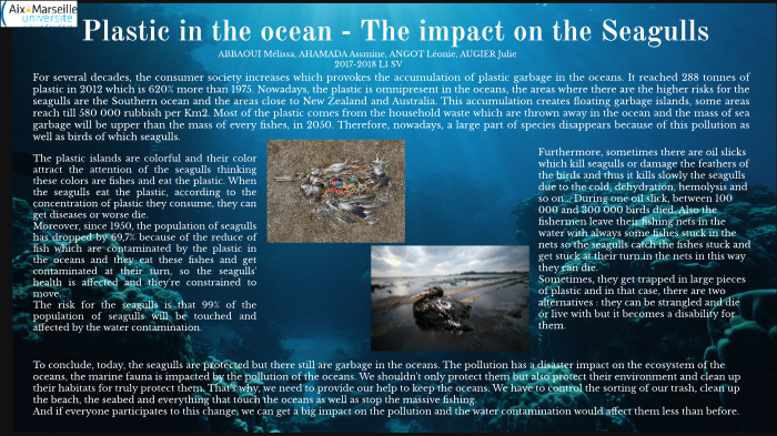 Project Work Seagulls by Julie Augier on Prezi