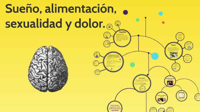 Sueño, alimentación, sexualidad y dolor. by Marina Lopez on Prezi