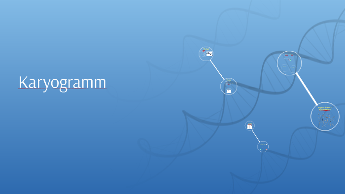 Karyogramm by Jiyan Rob on Prezi