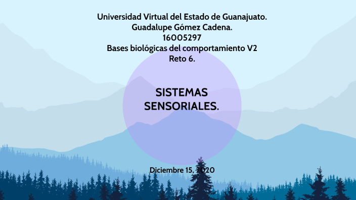Sistemas sensoriales by Lupe Cadena on Prezi