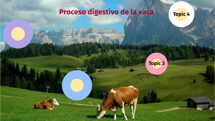 Sistema digestivo de la vaca by Maria Rosa De la Caridad on Prezi