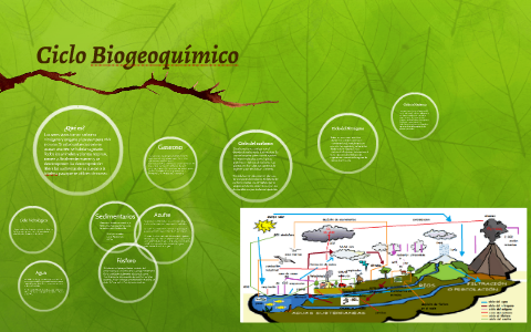 Ciclo Bioquímico by Sebastian Garzon on Prezi