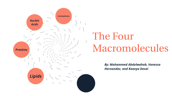 The Four Macromolecules by MOHAMMED ABDELWAHAB on Prezi