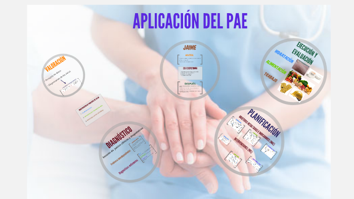 APLICACIÓN DEL PAE by on Prezi