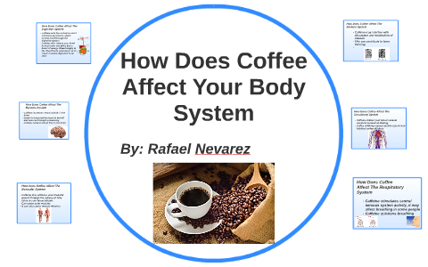 How Does Coffee Affect Your Body System by Rafael Nevarez on Prezi