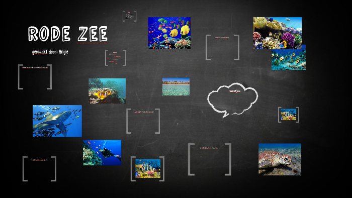 rode zee by Angie Nulens on Prezi