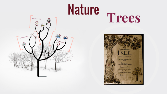 Trees by John Cena on Prezi
