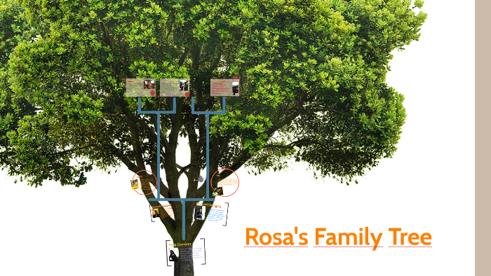 Rosa's Family Tree by Rosa Gonzalez on Prezi