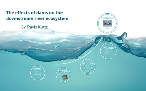 Downstream River Ecosystem by Travis Kurtz on Prezi