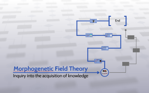 Morphogenetic Field Theory by Malik Perkins