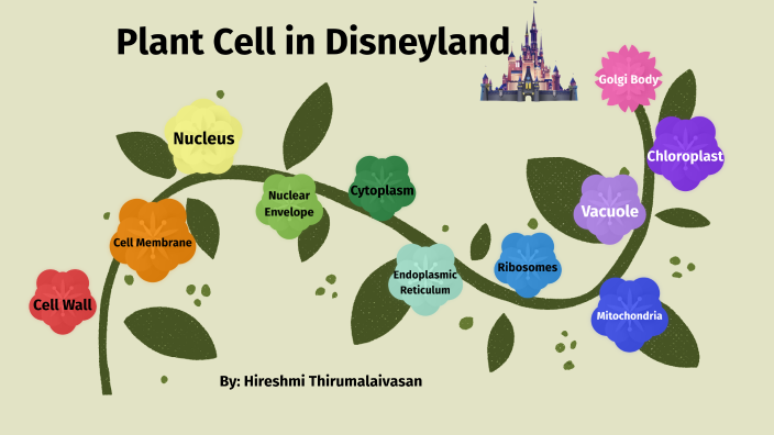 Disneyland - Amusement Park - Plant Cell in Real Life Project by ...