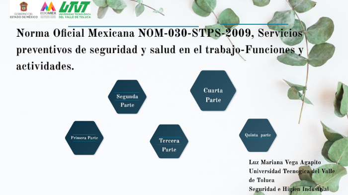 NORMA Oficial Mexicana NOM-030-STPS-2009 by Luz Mariana Vega Agapito on ...