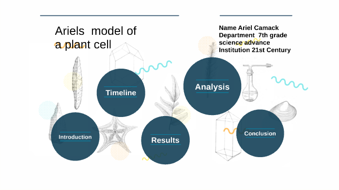 Ariel's Model of a Plant Cell by Ariel Camack on Prezi