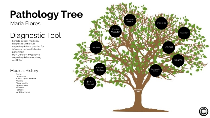 Acute Pathology Tree by Kathryn Ross on Prezi