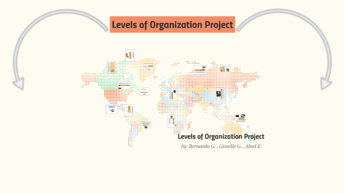 Levels of Organization Project by Bernardo Guerra on Prezi