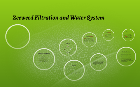 Zeeweed Filtration and Water System by will fain on Prezi
