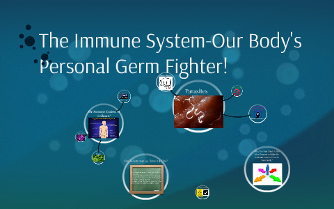 The Immune System-Our Body's Personal Germ Fighter! by Prezi User17 on ...