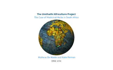 Umthathi Africulture Project by Katie Ferman on Prezi