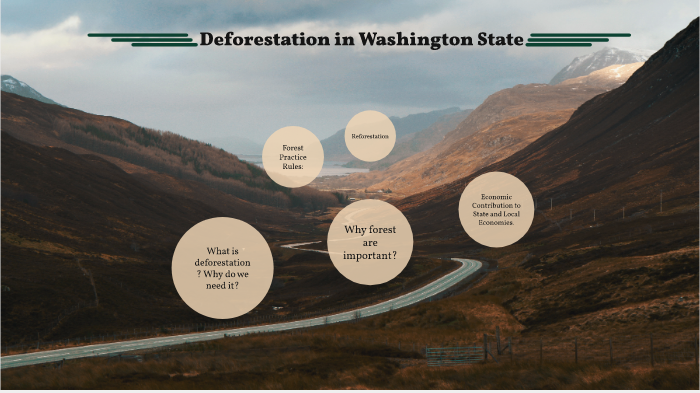 Deforestation in Washington State by riccardo marangon on Prezi