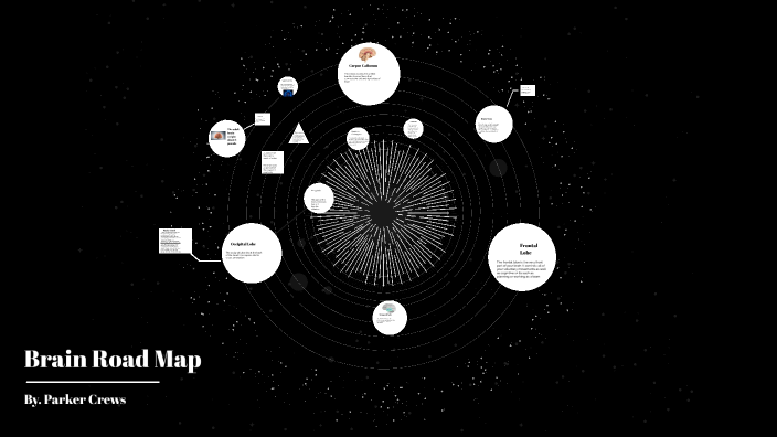Brain Road Map by James Crews on Prezi