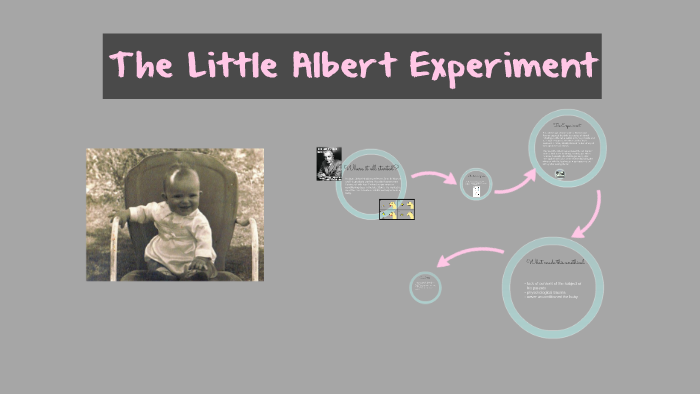 The Little Albert Experiment by Zoe Cortez on Prezi