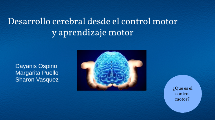 Desarrollo cerebral desde el control motor y aprendizaje motor by ...