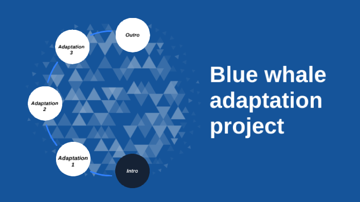 Blue whale adaptations by Diego Garcia on Prezi