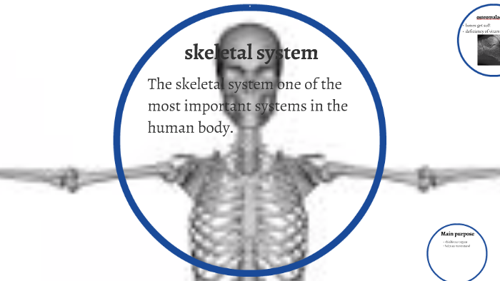 human body by Brandon Brune on Prezi