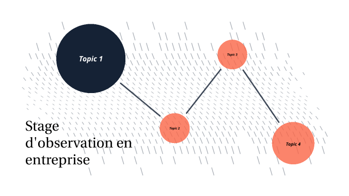 Stage d'observation en entreprise by alice constantin on Prezi