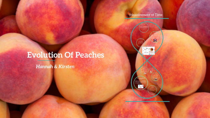 Evolution Of Peaches by kirsten merrifield on Prezi