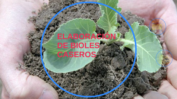 ELABORACIÓN DE BIOLES CASEROS by Daniel Montero on Prezi