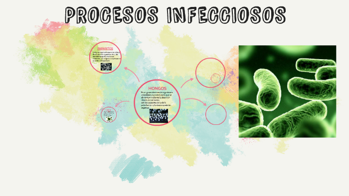 PROCESOS INFECCIOSOS by Yulieth Molina on Prezi