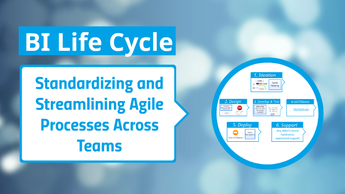 BI Life Cycle by Julia Gabriel