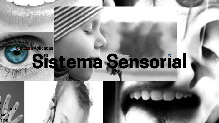 Sistema Sensorial by Giuliana Barros on Prezi