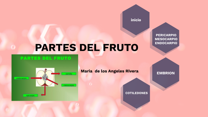 partes del fruto by Maria Rivera on Prezi