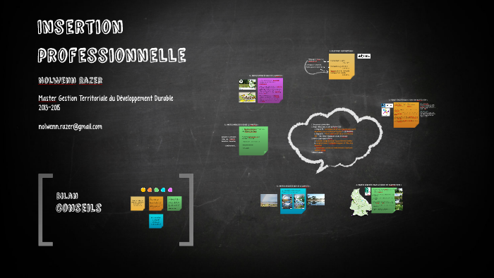 Insertion professionnelle by RAZER Nolwenn