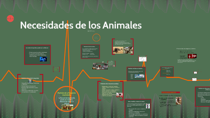 Necesidades de los Animales by Sergio Roskopf on Prezi