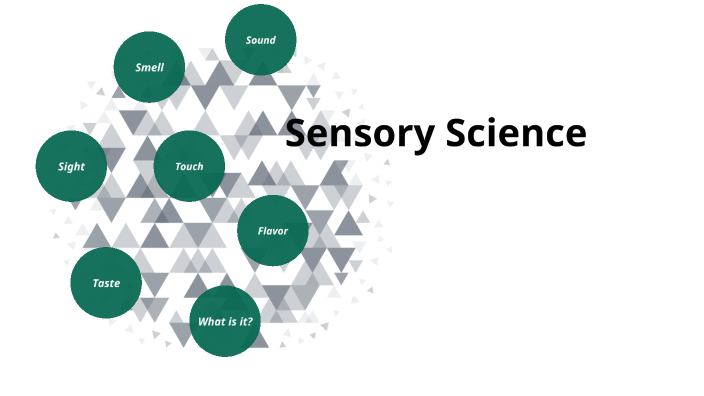 Sensory Science by Kate Admas on Prezi