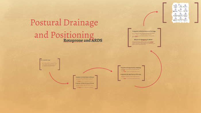 Postural Drainage and Positioning by Adrian de Sa Pereira on Prezi