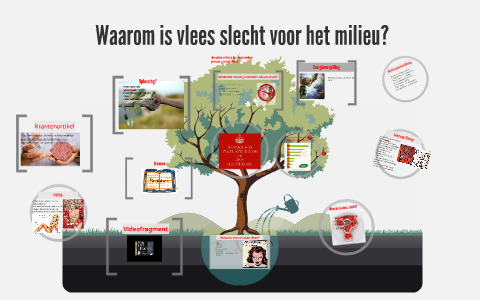 Waarom is vlees slecht voor het milieu? by Elisa Tant on Prezi