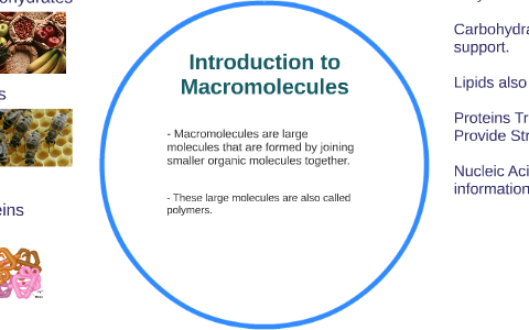 Introduction to Macromolecules by Brianna Cuellar on Prezi