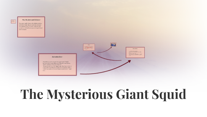 The Mysterious Giant Squid by sarah roberts