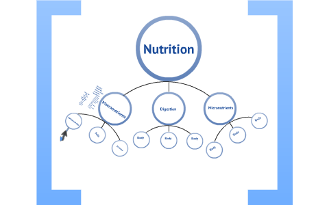 Food and Nutrition Mind Map by Cindy Martins on Prezi