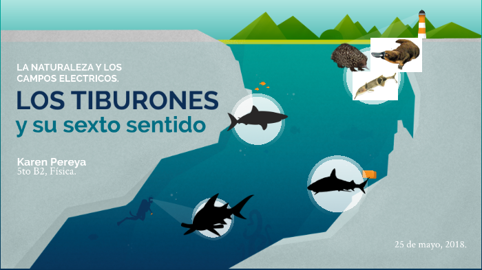 LOS TIBURONES y su sexto sentido. by karen on Prezi