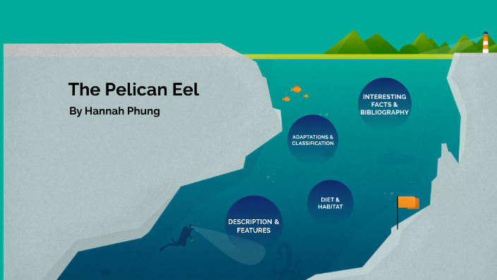 The Pelican Eel by Hannah P on Prezi