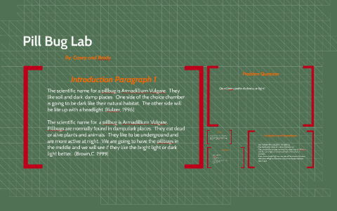 Pill Bug Lab by Casey Hanson on Prezi