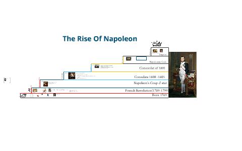 The Rise and Fall Of Napoleon by Chris Wilbur